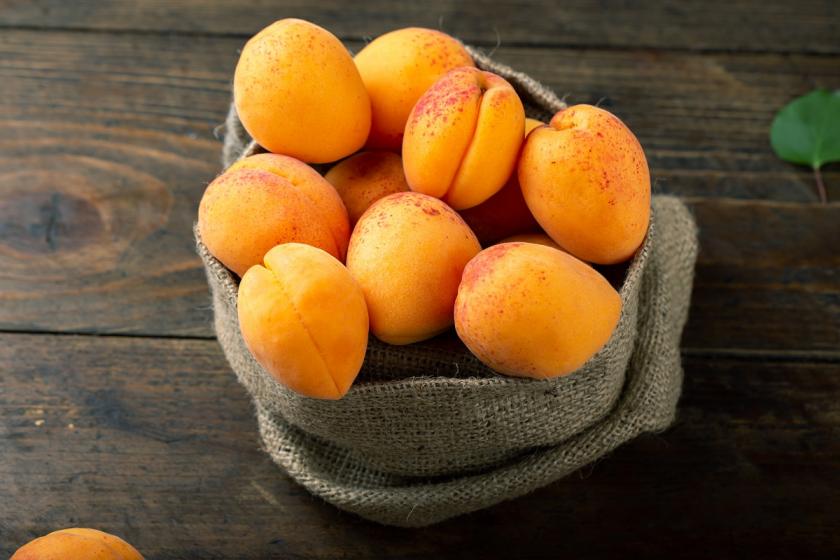 Meruňky kvetou mezi prvními. Jak je ochránit před jarními mrazíky ...